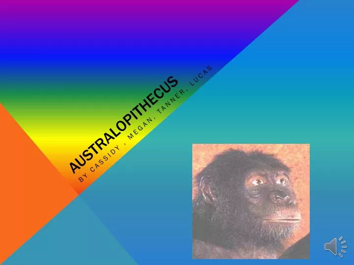 PPT - Australopithecus PowerPoint Presentation, free download - ID:2458134