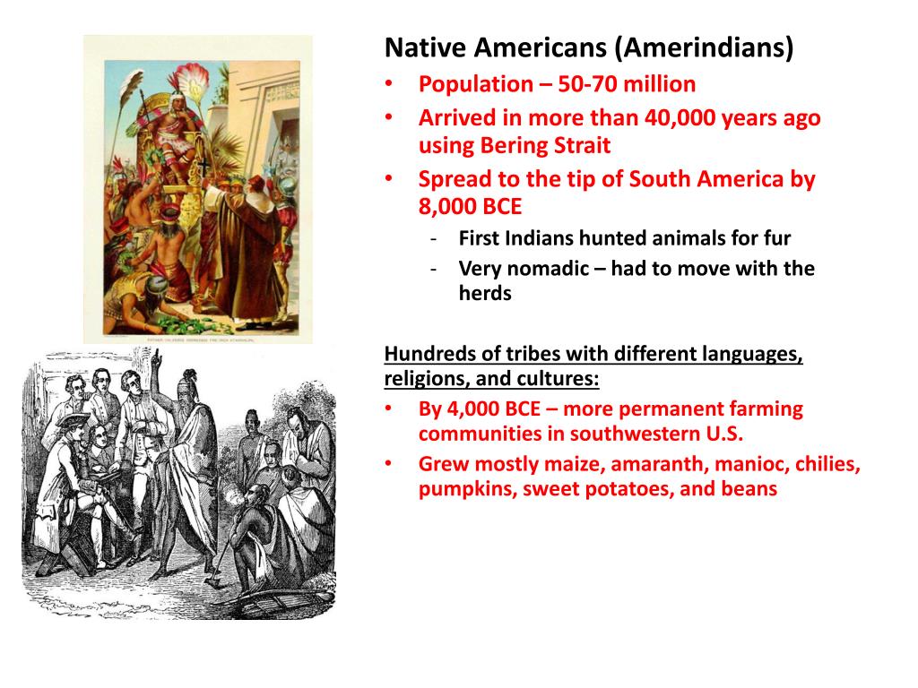 PPT - CONTACT: Europeans & Amerindians PowerPoint Presentation - ID:2459030