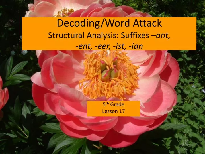 PPT - Decoding/Word Attack Structural Analysis: Suffixes –ant, - ent ...