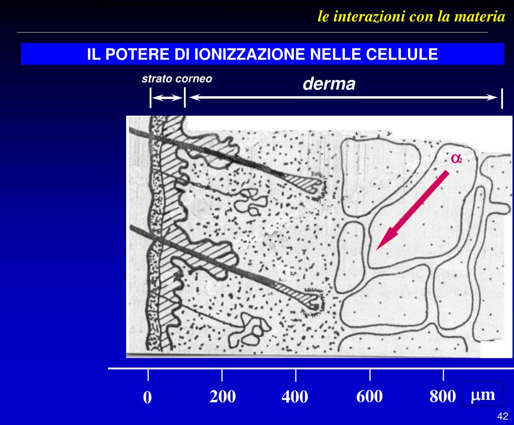 PPT - LE RADIAZIONI IONIZZANTI E LA LORO INTERAZIONE CON LA MATERIA ...