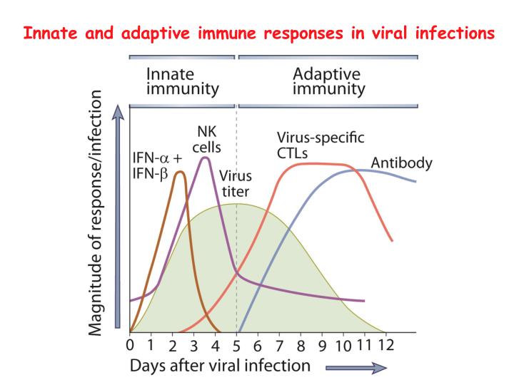 PPT - Lecture outline PowerPoint Presentation - ID:2460171