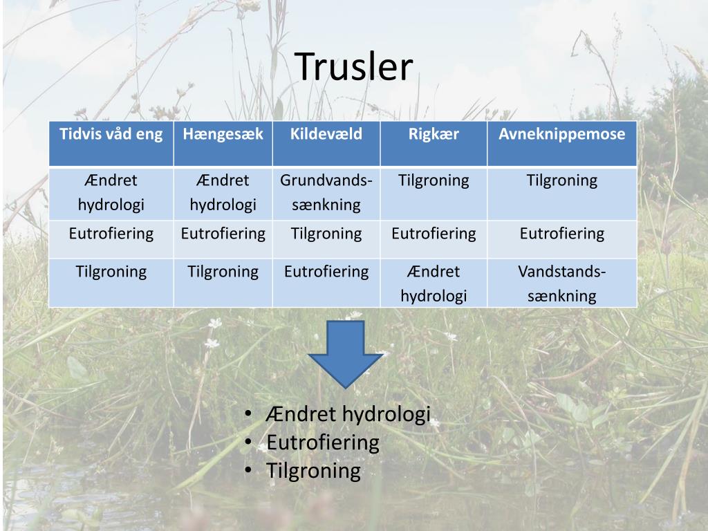 PPT - Grundvandsafhængige naturtyper og deres økologi PowerPoint ...