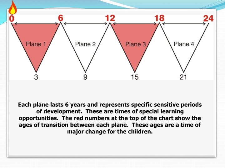 PPT - Montessori’s Planes Of Development PowerPoint Presentation - ID ...
