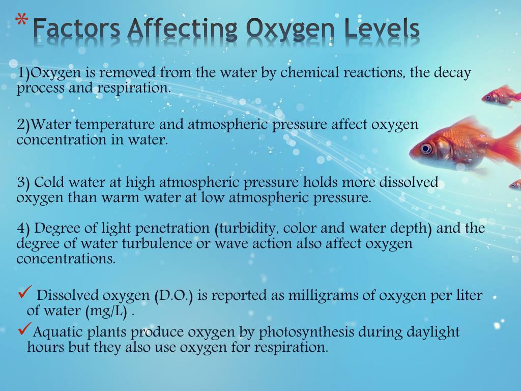 PPT - Dissolved Oxygen Measurements ( Winkler’s Method) PowerPoint ... PPT - Dissolved Oxygen Measurements ( Winkler’s Method) PowerPoint ...
