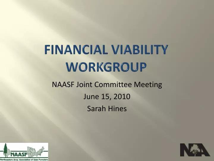 PPT - Financial viability workgroup PowerPoint Presentation, free ...