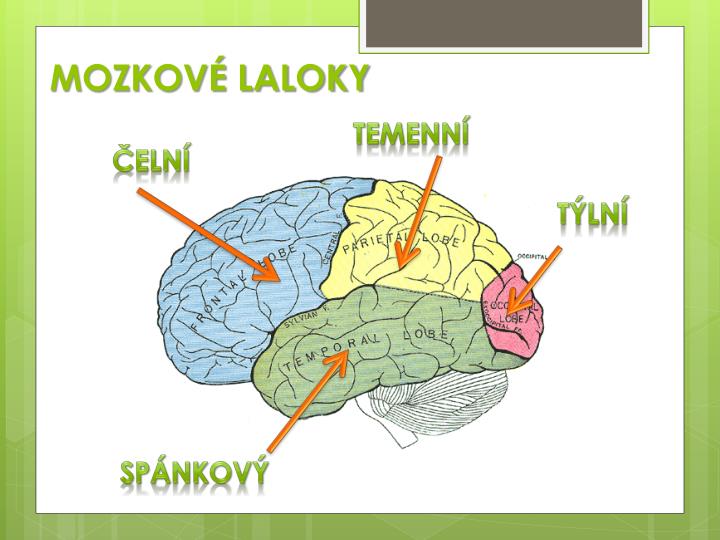 PPT - VY_32_INOVACE_E2-18 PowerPoint Presentation - ID:2462702
