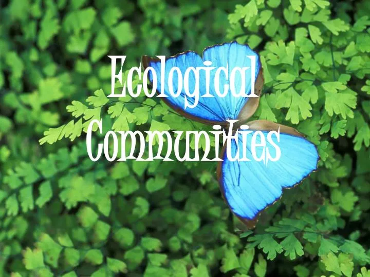 PPT - Ecological Communities PowerPoint Presentation, free download ...