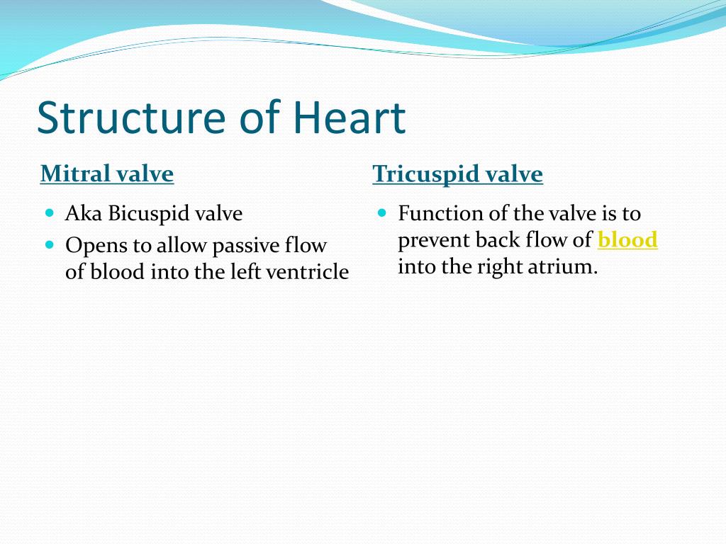PPT - The Circulatory System PowerPoint Presentation, free download ...
