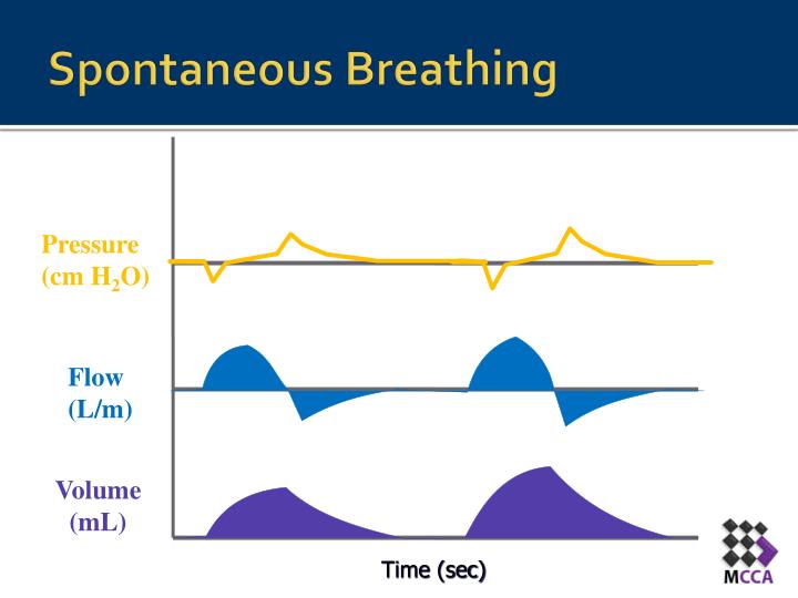 PPT - CPAP/PSV PowerPoint Presentation - ID:2462851