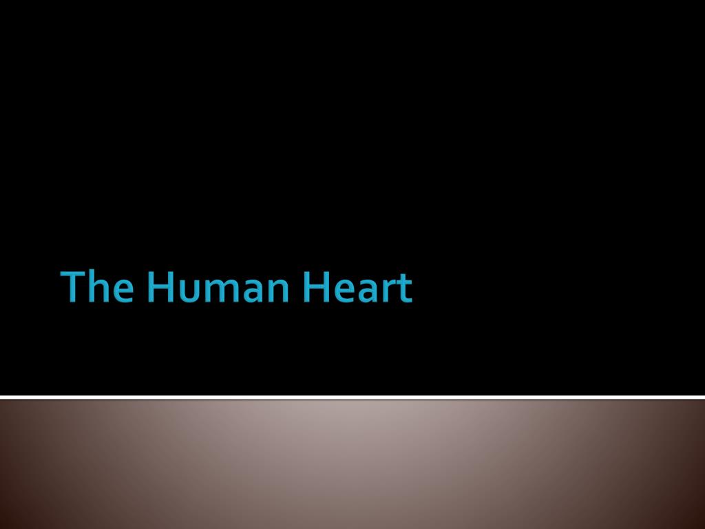 Ppt The Human Heart Powerpoint Presentation Free Download Id 2463232