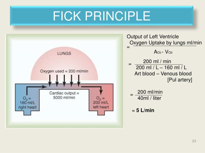 PPT - Cardiac Output and Venous Return PowerPoint Presentation - ID:2463430