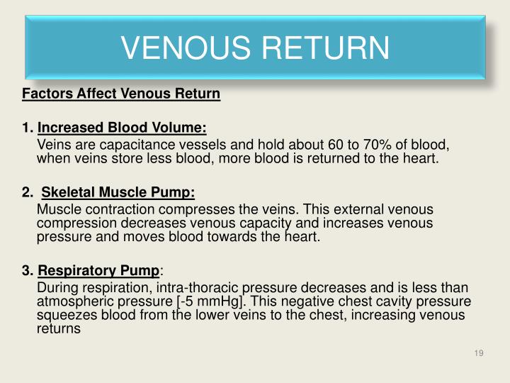 PPT - Cardiac Output and Venous Return PowerPoint Presentation - ID:2463430