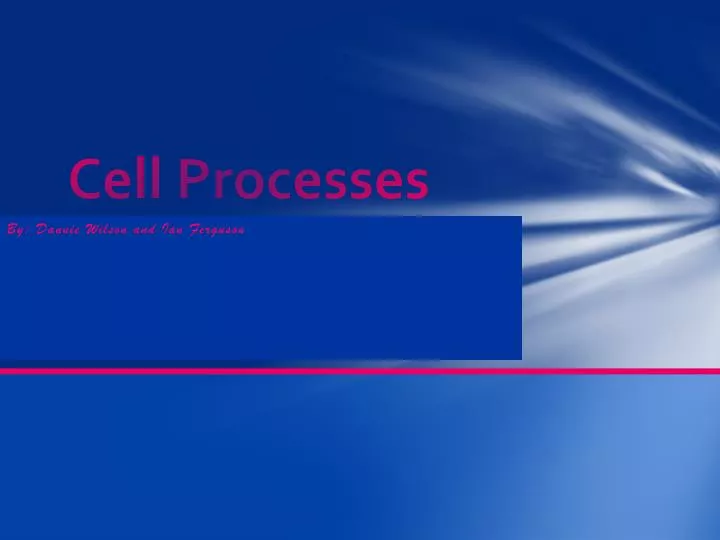 PPT - Cell Processes PowerPoint Presentation, free download - ID:2463457