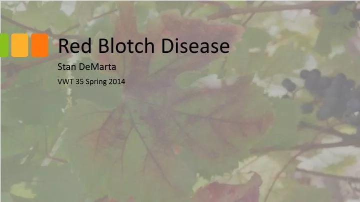 PPT - Red Blotch Disease PowerPoint Presentation, free download - ID ...