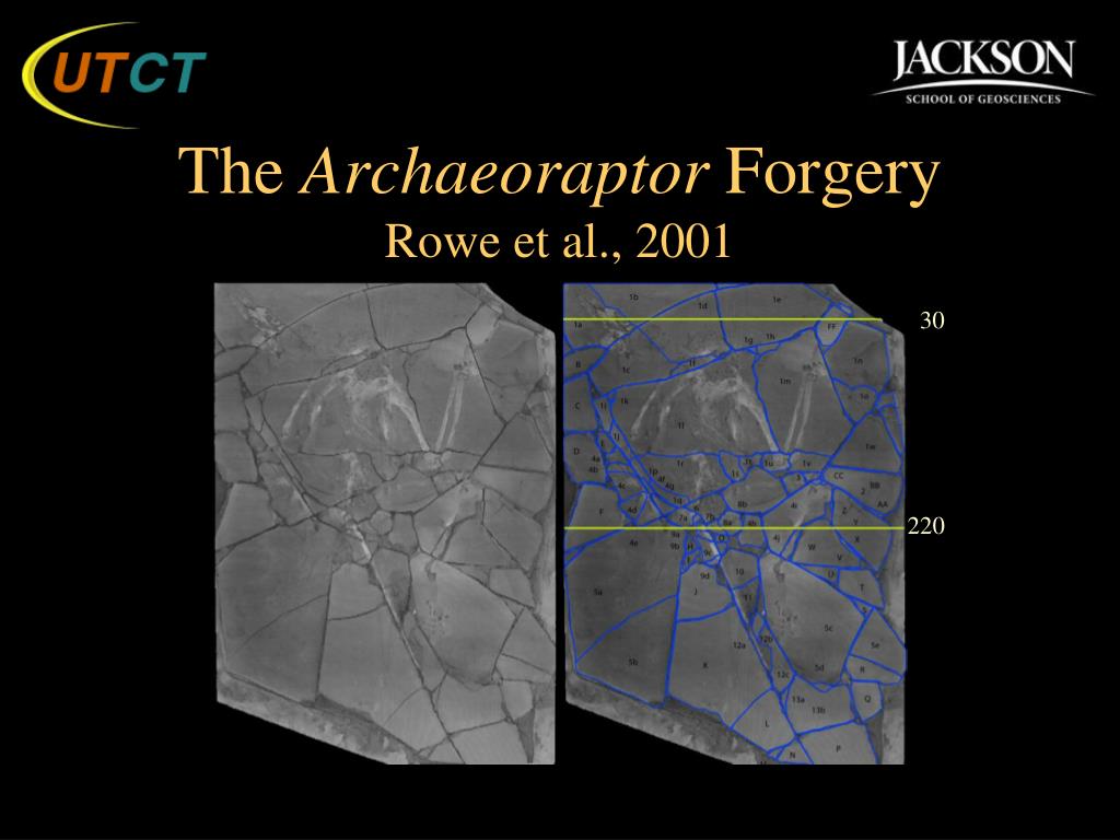 PPT - Jessica Maisano Jackson School of Geosciences The University of ...