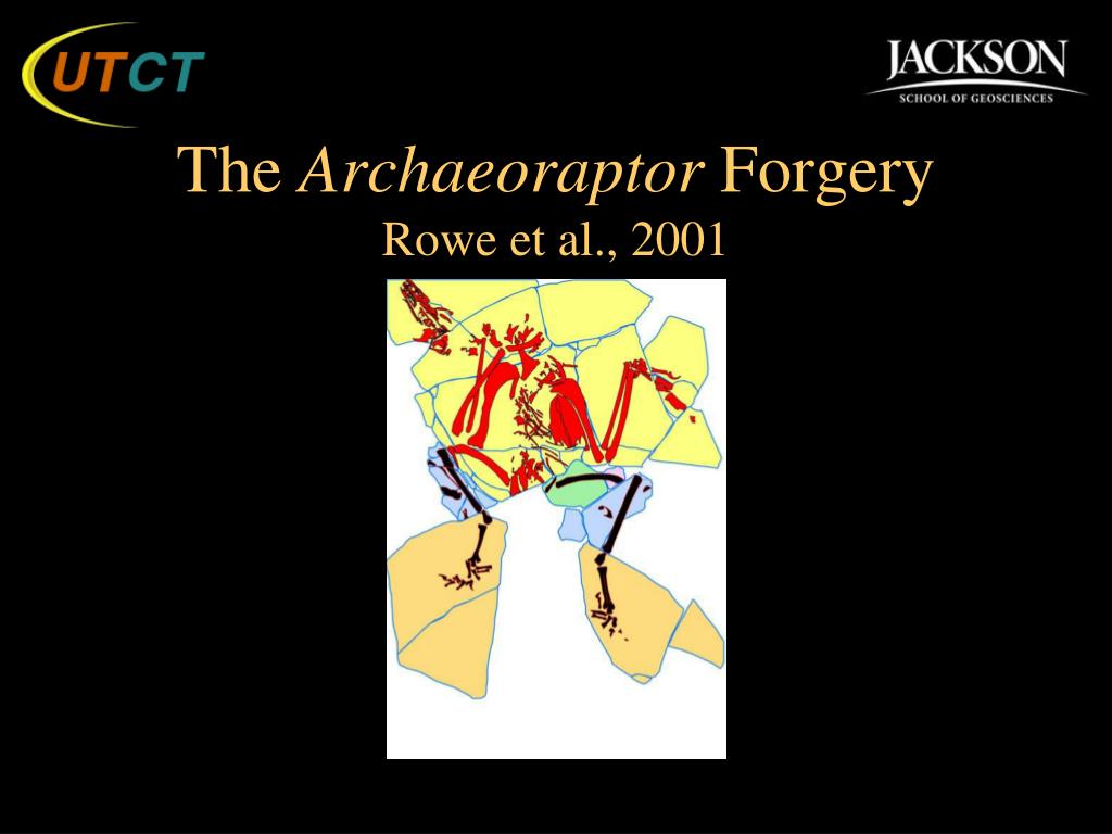 PPT - Jessica Maisano Jackson School of Geosciences The University of ...