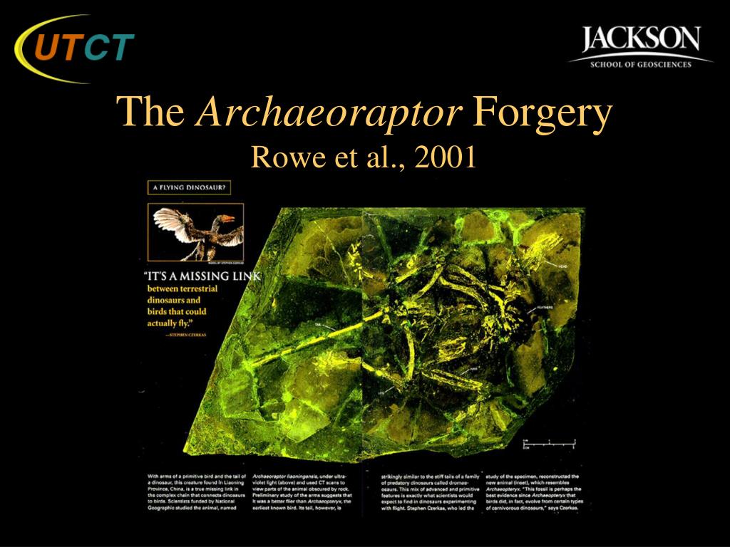 PPT - Jessica Maisano Jackson School of Geosciences The University of ...