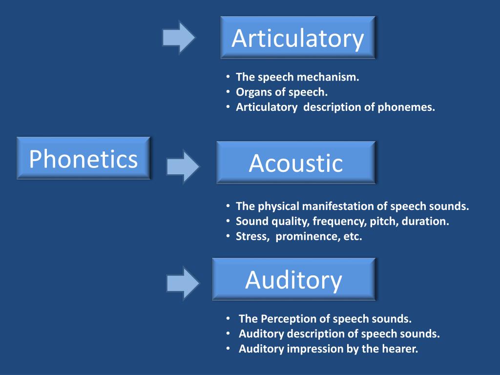 PPT - English Phonetics and Phonology PowerPoint Presentation, free ...