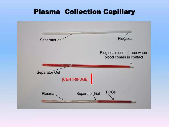 PPT - Plasma Collection Capillary PowerPoint Presentation, free ...