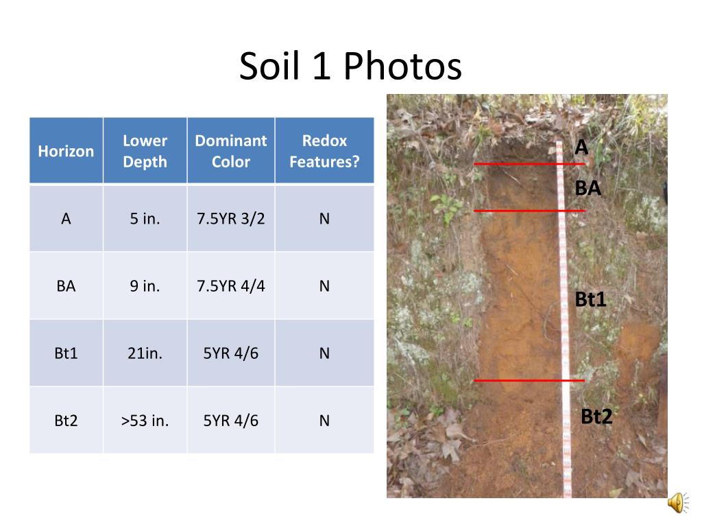 PPT - Upland Soils in Leon County, Florida Pedology Field Assignment ...