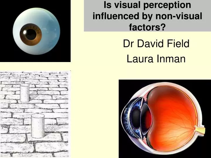 PPT - Is visual perception influenced by non-visual factors ...