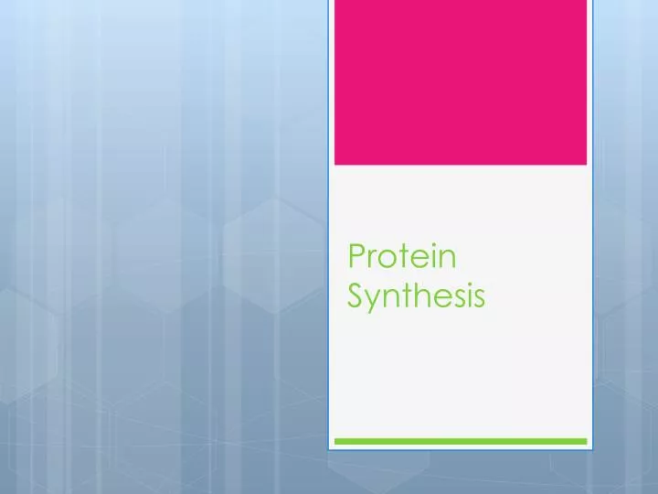 PPT - Protein Synthesis PowerPoint Presentation, free download - ID:2467581