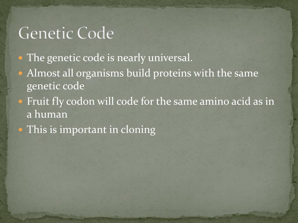 PPT - The Central Dogma of Molecular Biology PowerPoint Presentation ...