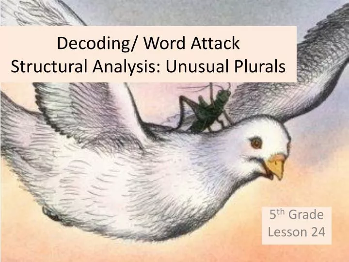PPT - Decoding/ Word Attack Structural Analysis: Unusual Plurals PowerPoint Presentation - ID ...