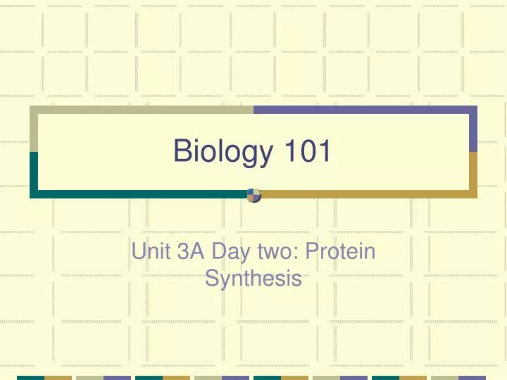 PPT - Biology 101 PowerPoint Presentation, free download - ID:2467781