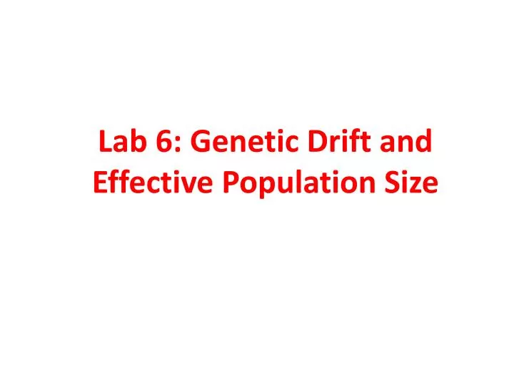 PPT - Lab 6: Genetic Drift and Effective Population Size PowerPoint ...