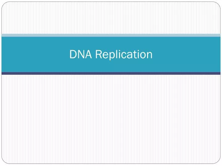 PPT - DNA Replication PowerPoint Presentation, free download - ID:2469418