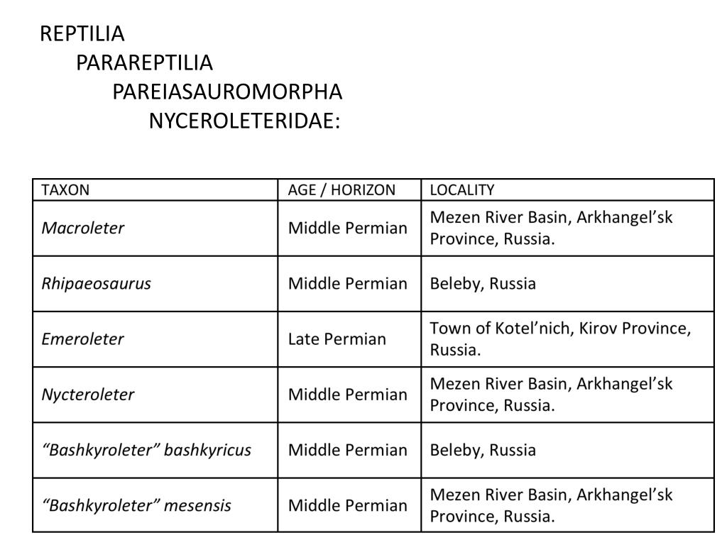 PPT - BIOLOGY 622 – FALL 2014 BASAL AMNIOTA - STRUCTURE AND PHYLOGENY ...
