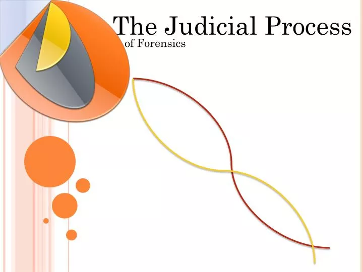 PPT - The Judicial Process PowerPoint Presentation, free download - ID ...