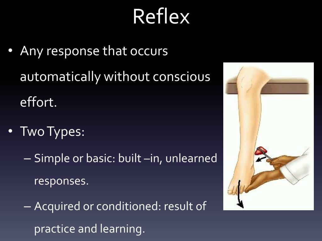Reflex Action Definition Mechanism Examples - vrogue.co Reflex Action Definition Mechanism Examples - vrogue.co