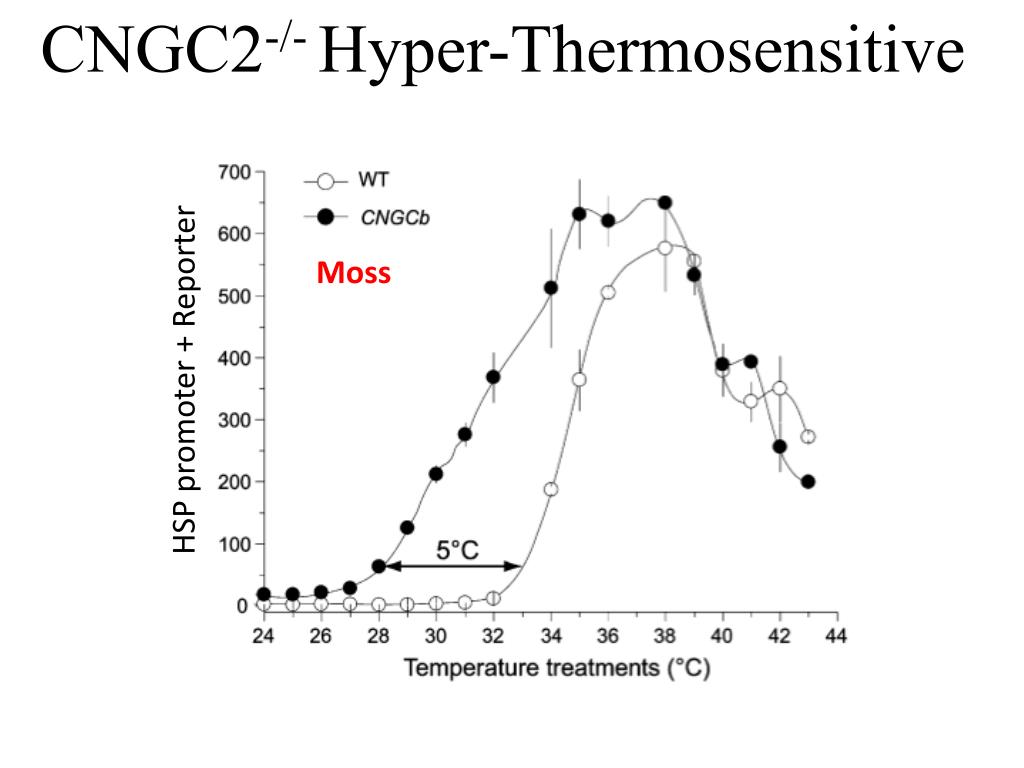 PPT - Heat Stress (HS) in Blueberry Final report 1 1 April, 2013 ...