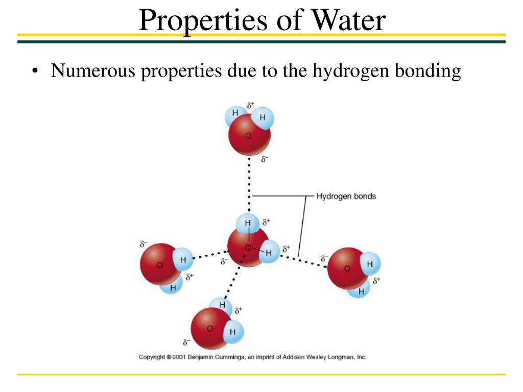 PPT - The Chemical Basis of Life PowerPoint Presentation, free download ...