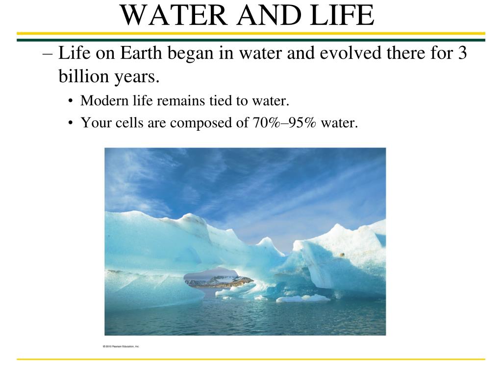 PPT - The Chemical Basis of Life PowerPoint Presentation, free download ...