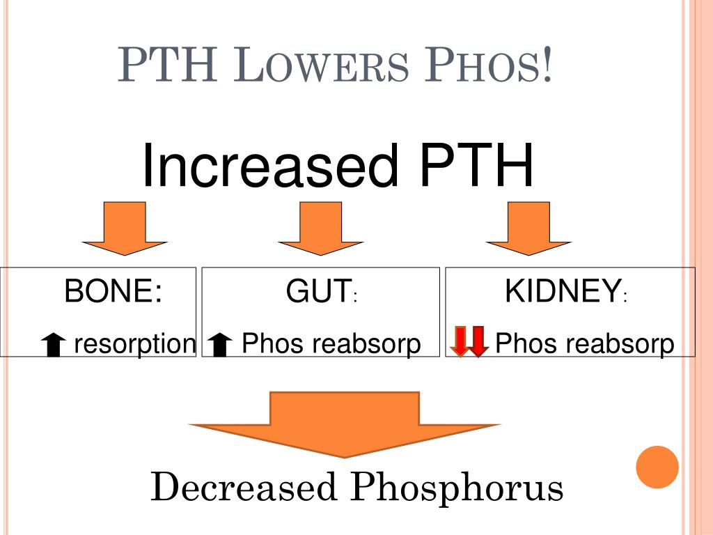 PPT - Vitamin D Deficiency: Diagnosis and Treatment PowerPoint ...