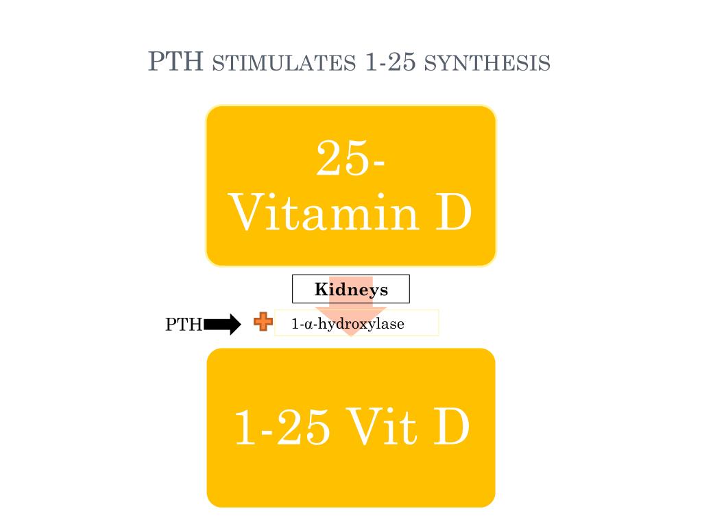 PPT - Vitamin D Deficiency: Diagnosis and Treatment PowerPoint ...