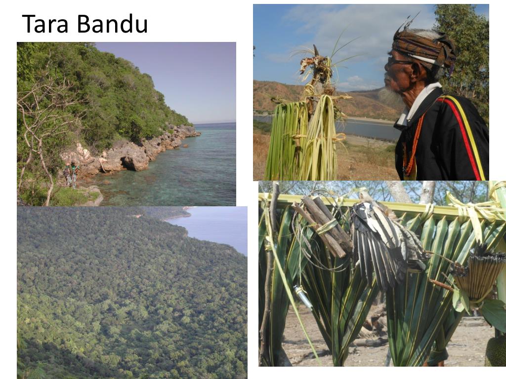 PPT - The Reviving of Traditional Knowledge to Strength Biodiversity ...