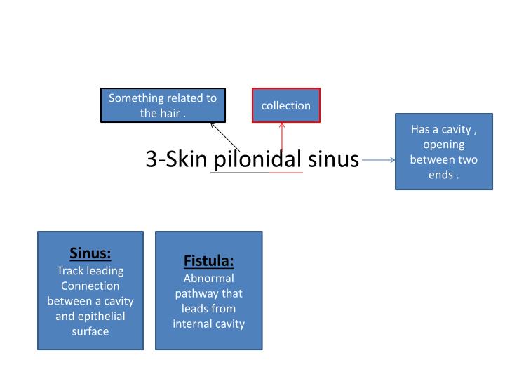 PPT - Inflammation and repair PowerPoint Presentation - ID:2476337