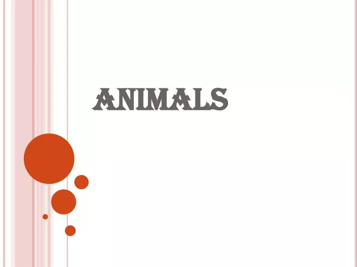 PPT - animals PowerPoint Presentation, free download - ID:2476378