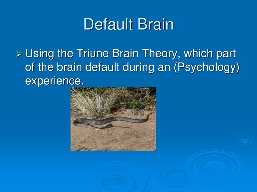 PPT - My Gray Matters Al Babich, Ed.S, NCC. LPC my-gray-matters ...