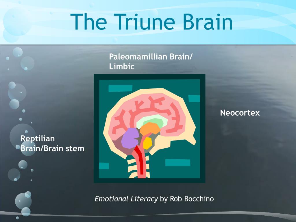PPT - Social Emotional Learning & the 21 st Century PowerPoint ...