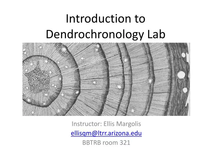 PPT - Introduction to Dendrochronology Lab PowerPoint Presentation ...