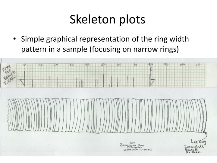 PPT - Introduction to Dendrochronology Lab PowerPoint Presentation - ID ...