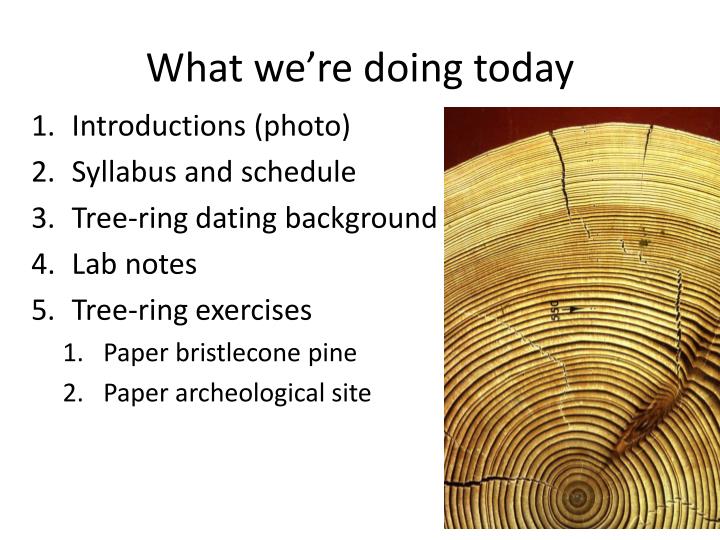 PPT - Introduction to Dendrochronology Lab PowerPoint Presentation - ID ...