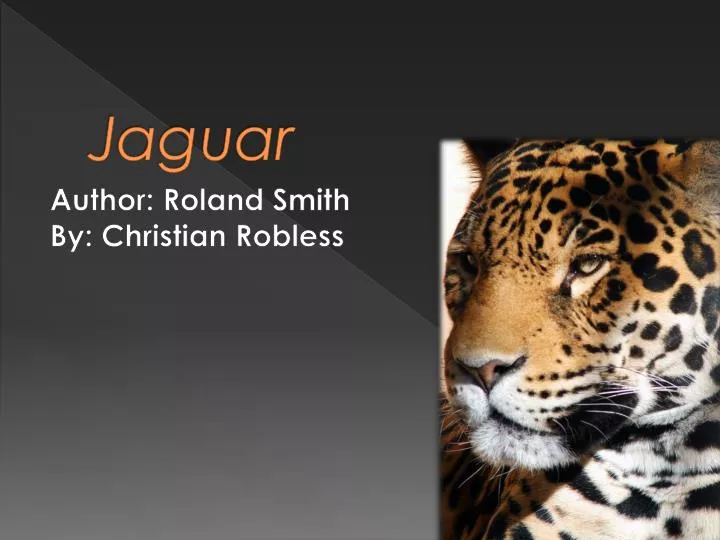 PPT - Jaguar PowerPoint Presentation, free download - ID:2477228