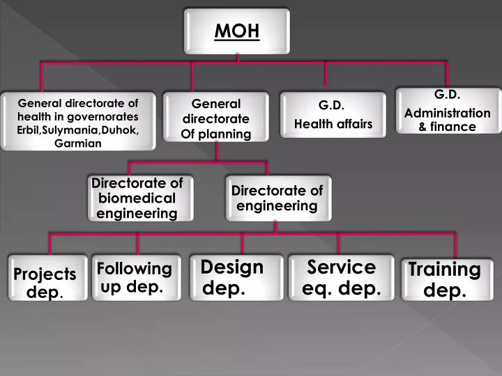 PPT - MOH PowerPoint Presentation, free download - ID:2477350