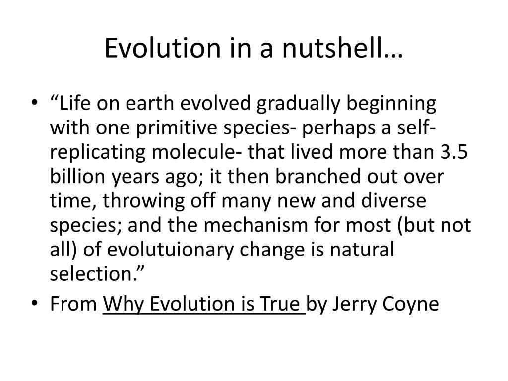 PPT - Evolution PowerPoint Presentation, free download - ID:2477887